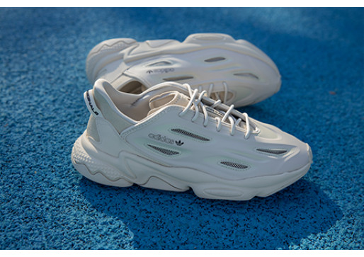 Buzz Sneaker Station - Online Shop | Buzz - Online Shop